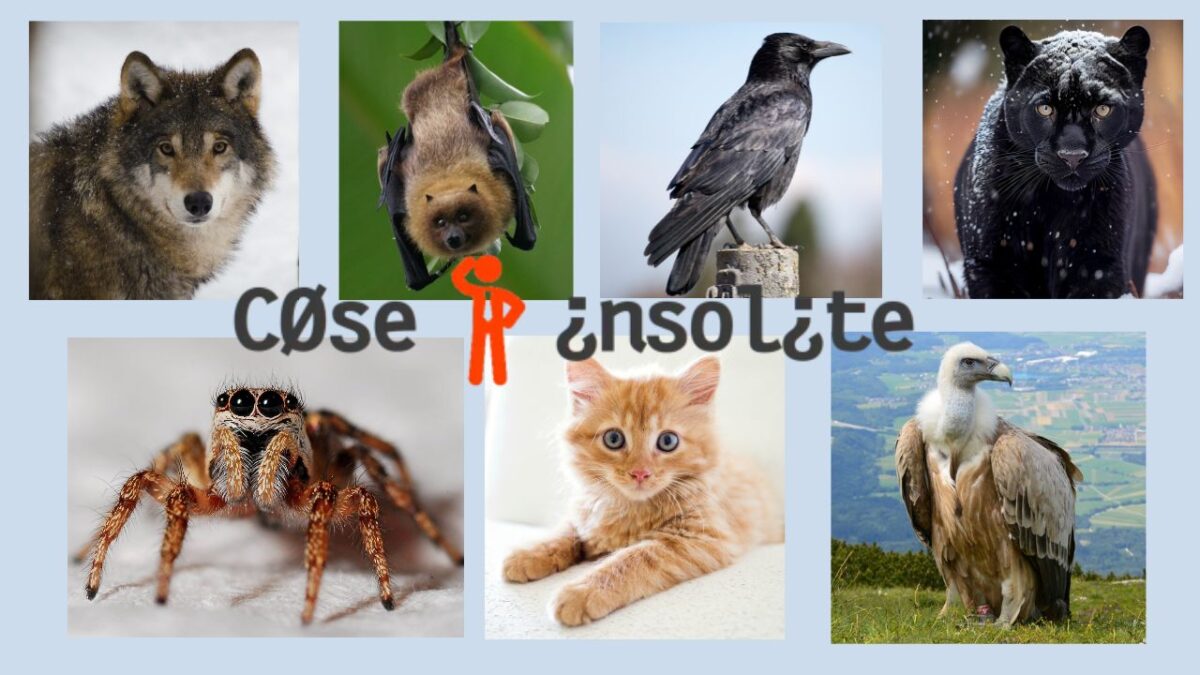 L'animale che sceglierai in questa foto ti rivelerà chi sei davvero, la ...